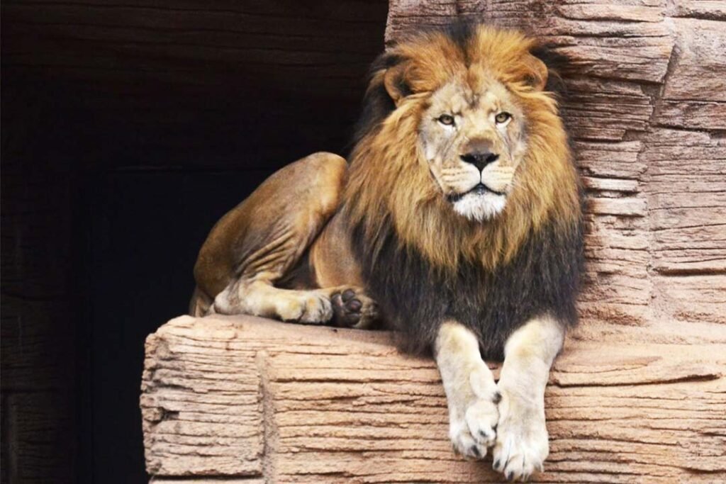 Riverbanks Zoo and Garden - Dreamdestination